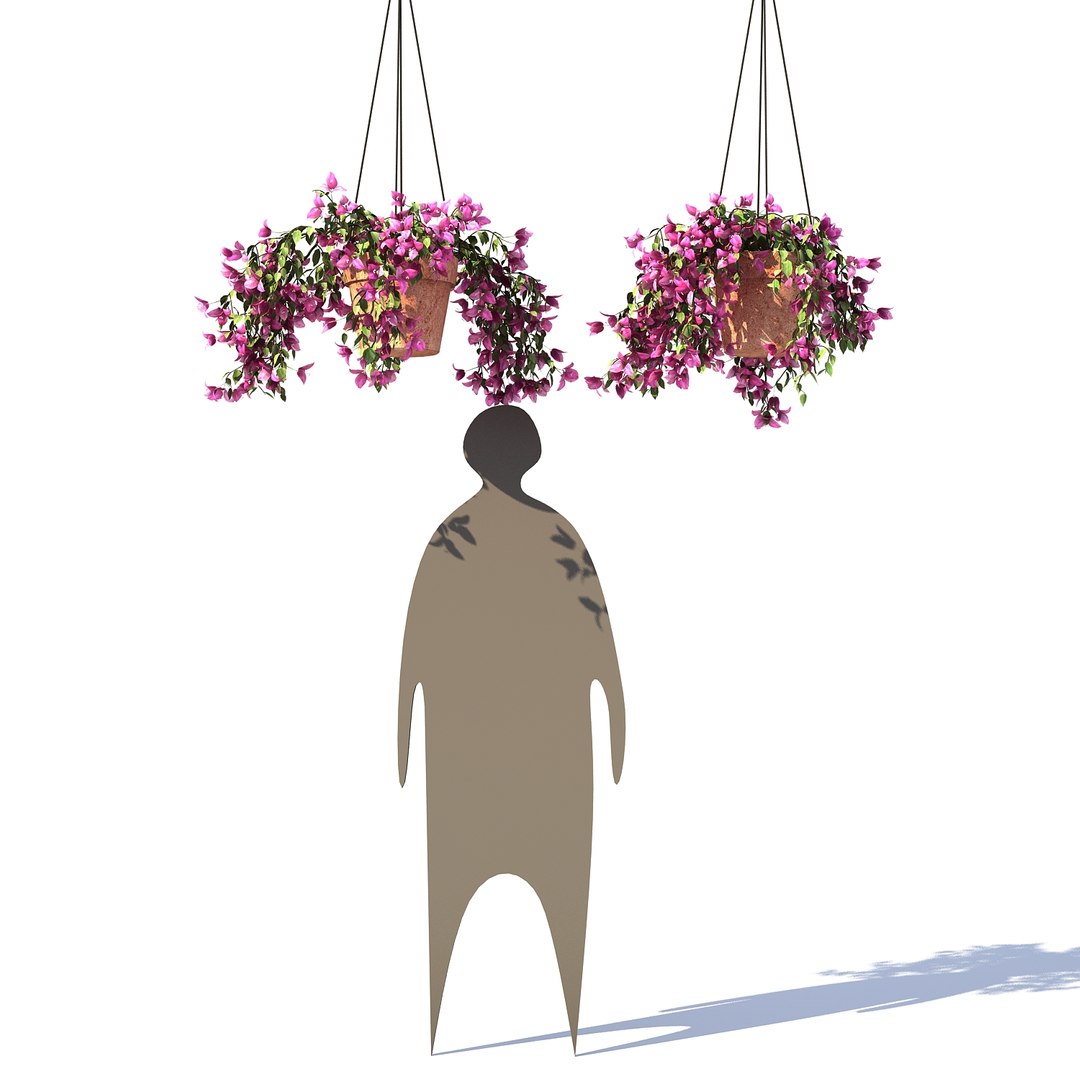 Plant Hanging 3D Model - TurboSquid 1443646