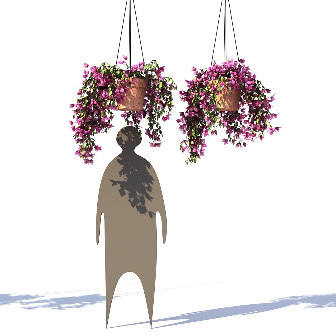 Plant Hanging 3D Model - TurboSquid 1443646