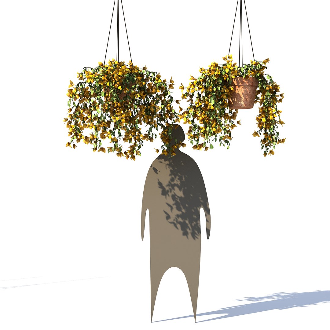 Plant Hanging 3D Model - TurboSquid 1443646
