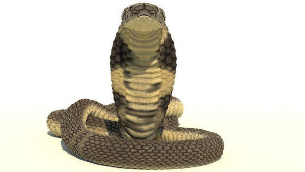 3D model rigged king cobra snake animation - TurboSquid 1584667
