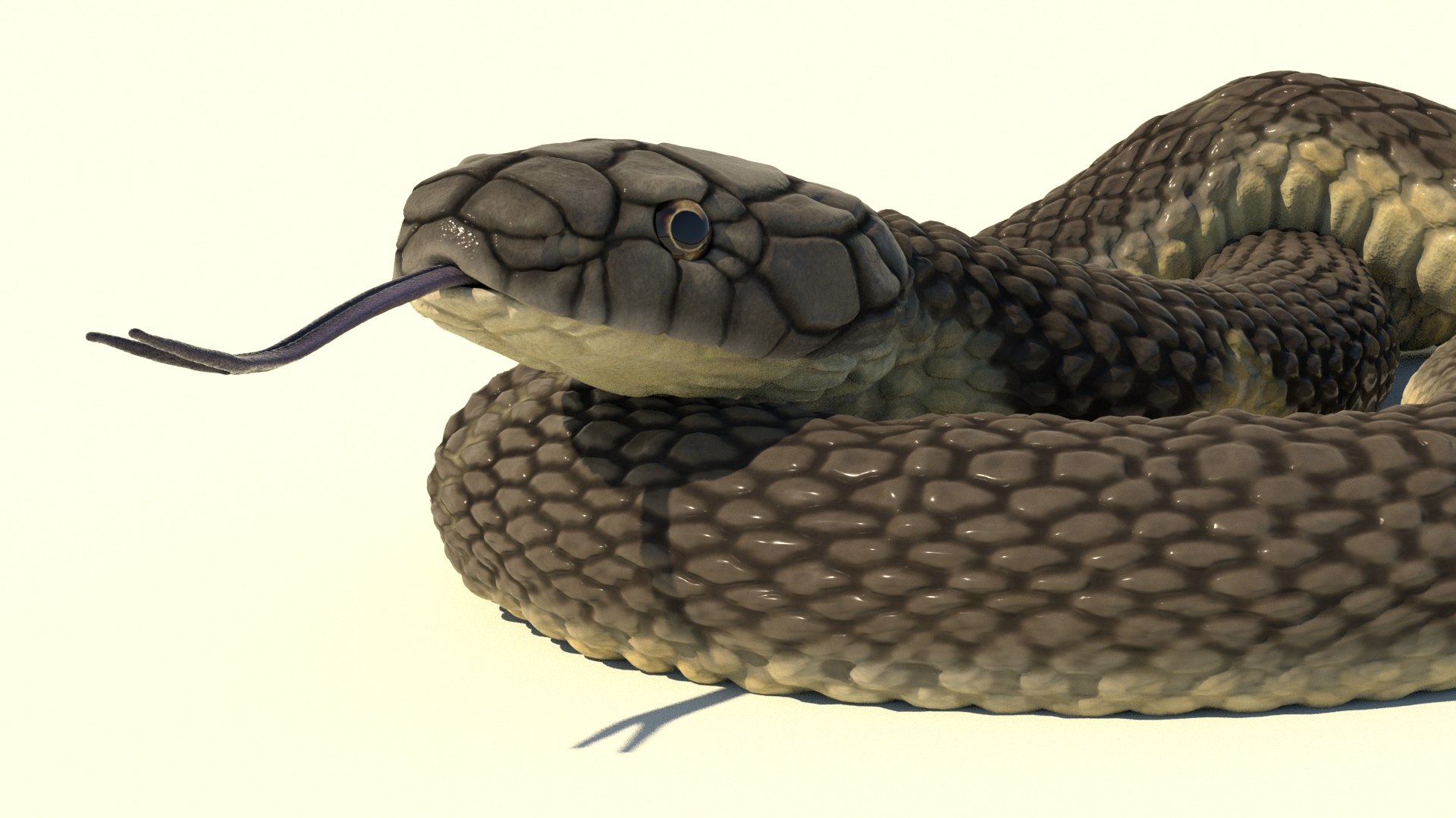 3D Model Rigged King Cobra Snake Animation - TurboSquid 1584667