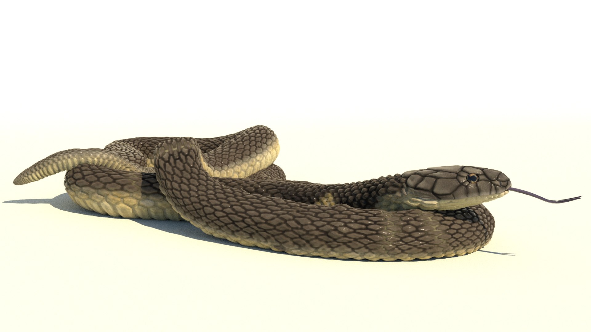 3D Model Rigged King Cobra Snake Animation - TurboSquid 1584667