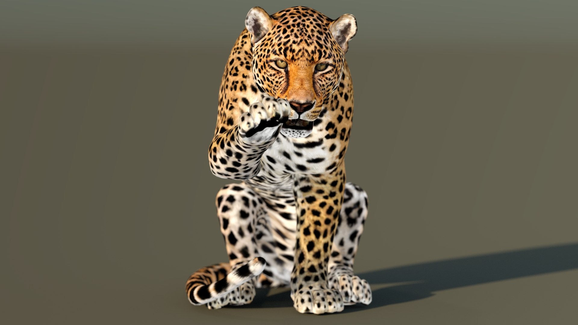 Leopard Animated 3D model - TurboSquid 1788277
