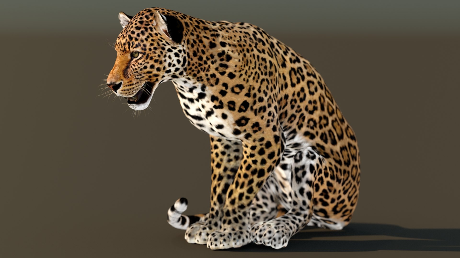 Leopard Animated 3D Model Modelo 3D - TurboSquid 1788277