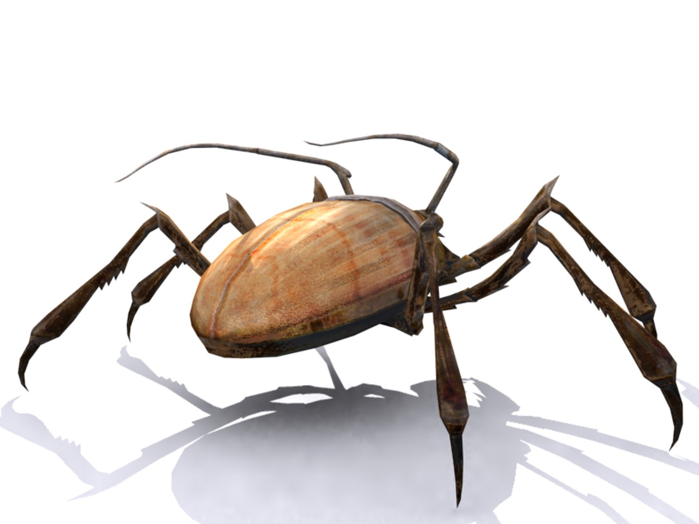 3d Bug Character Model