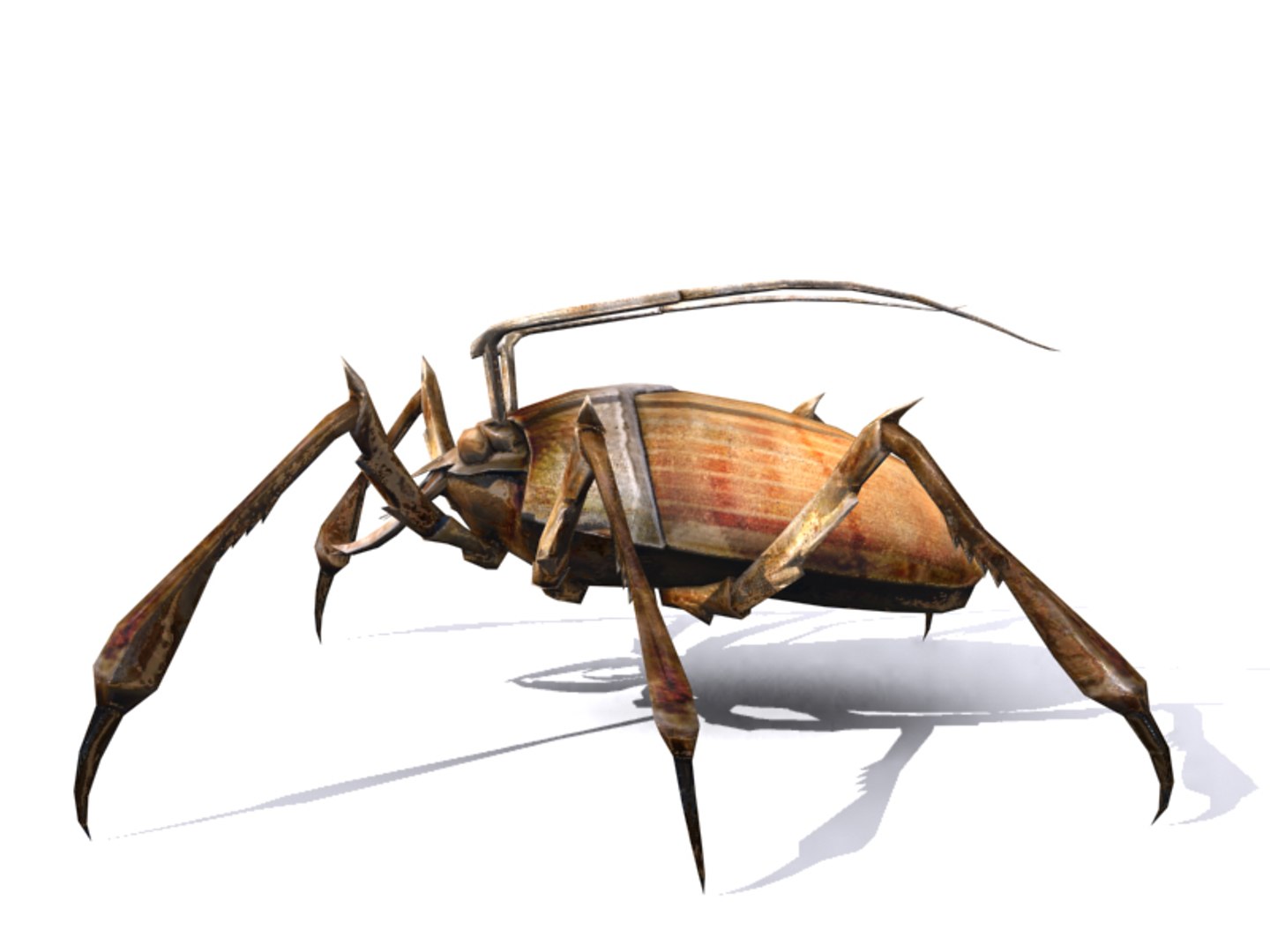 3d Bug Character Model