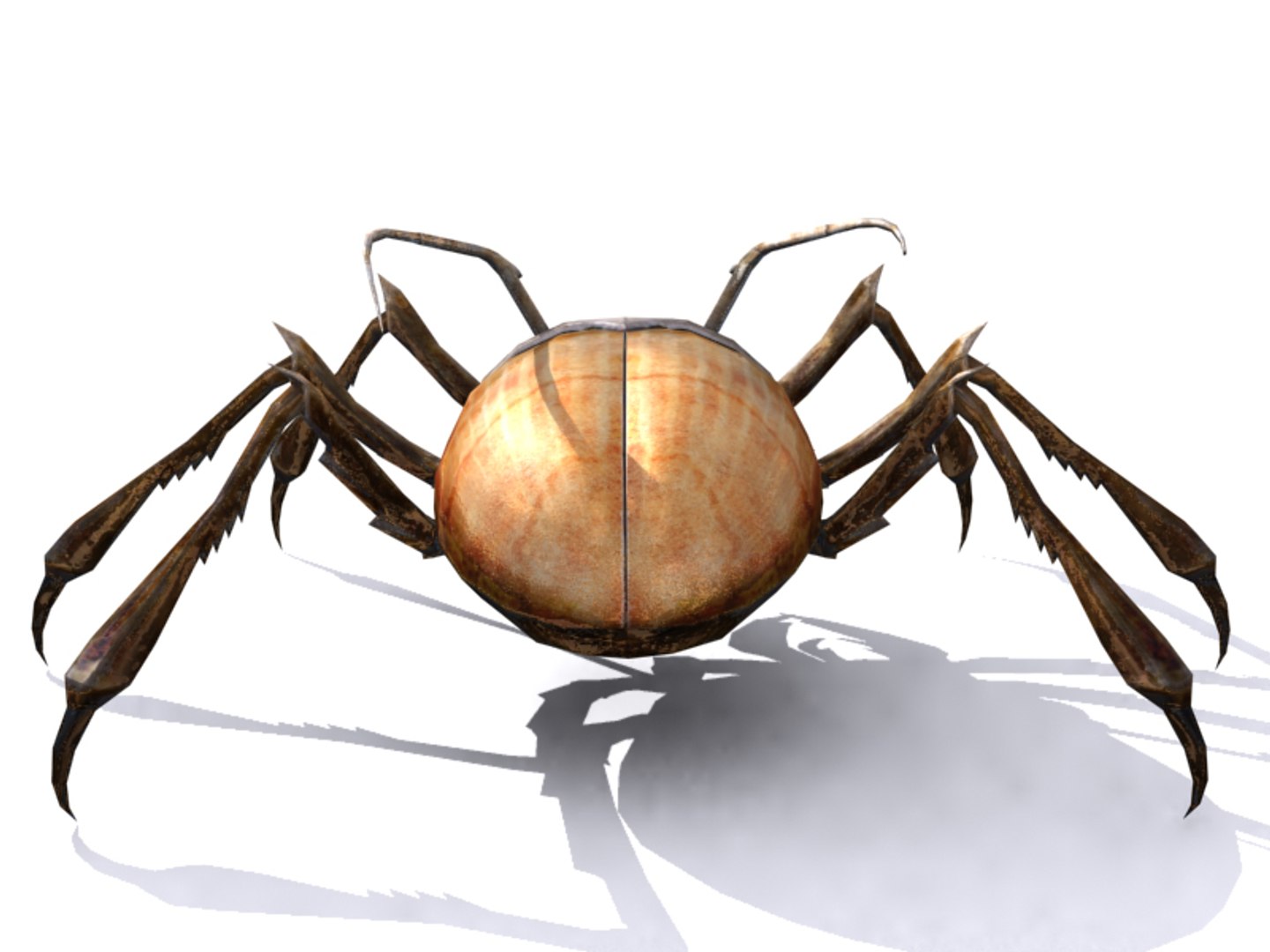 3d Bug Character Model