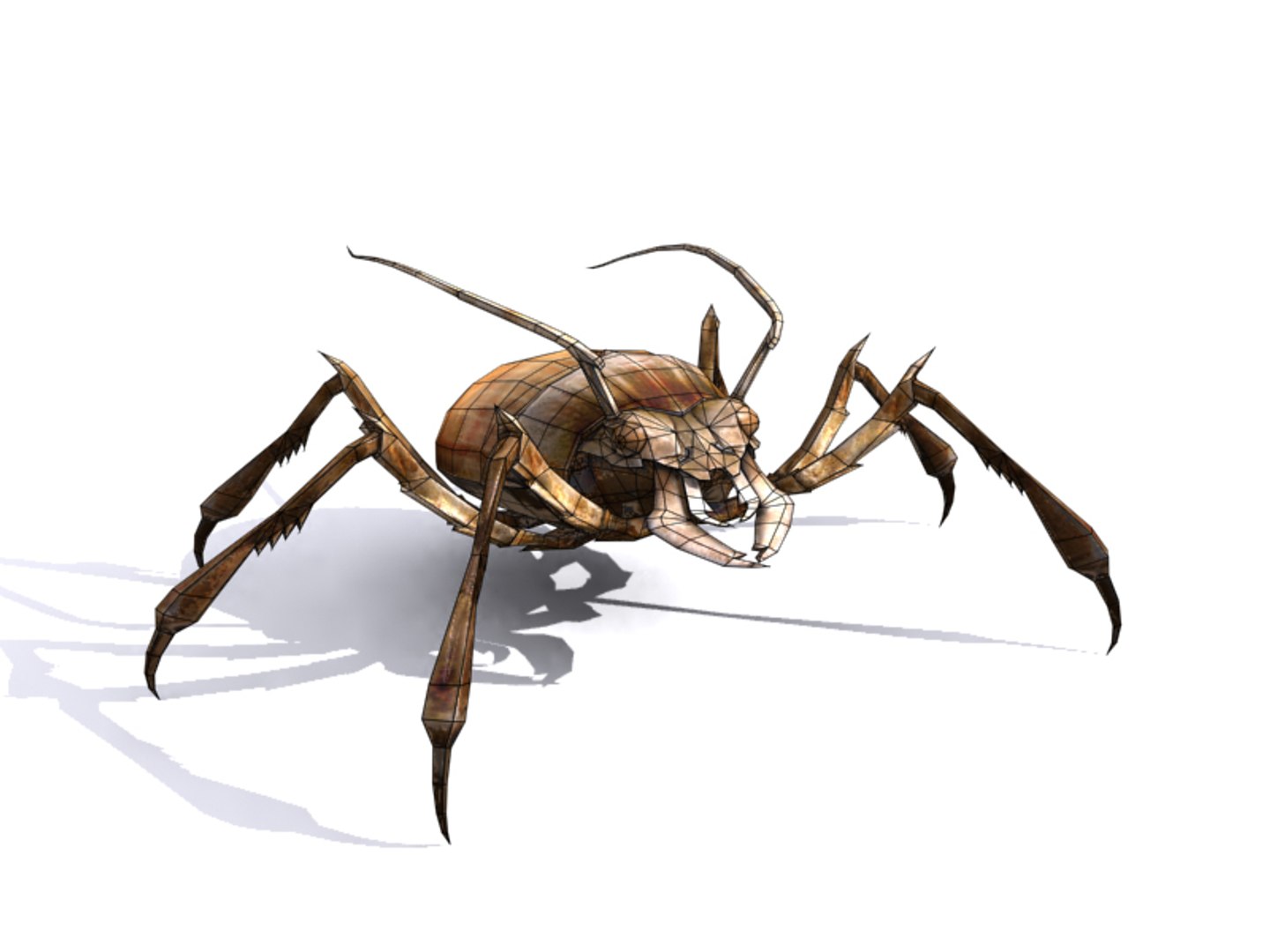 3d Bug Character Model