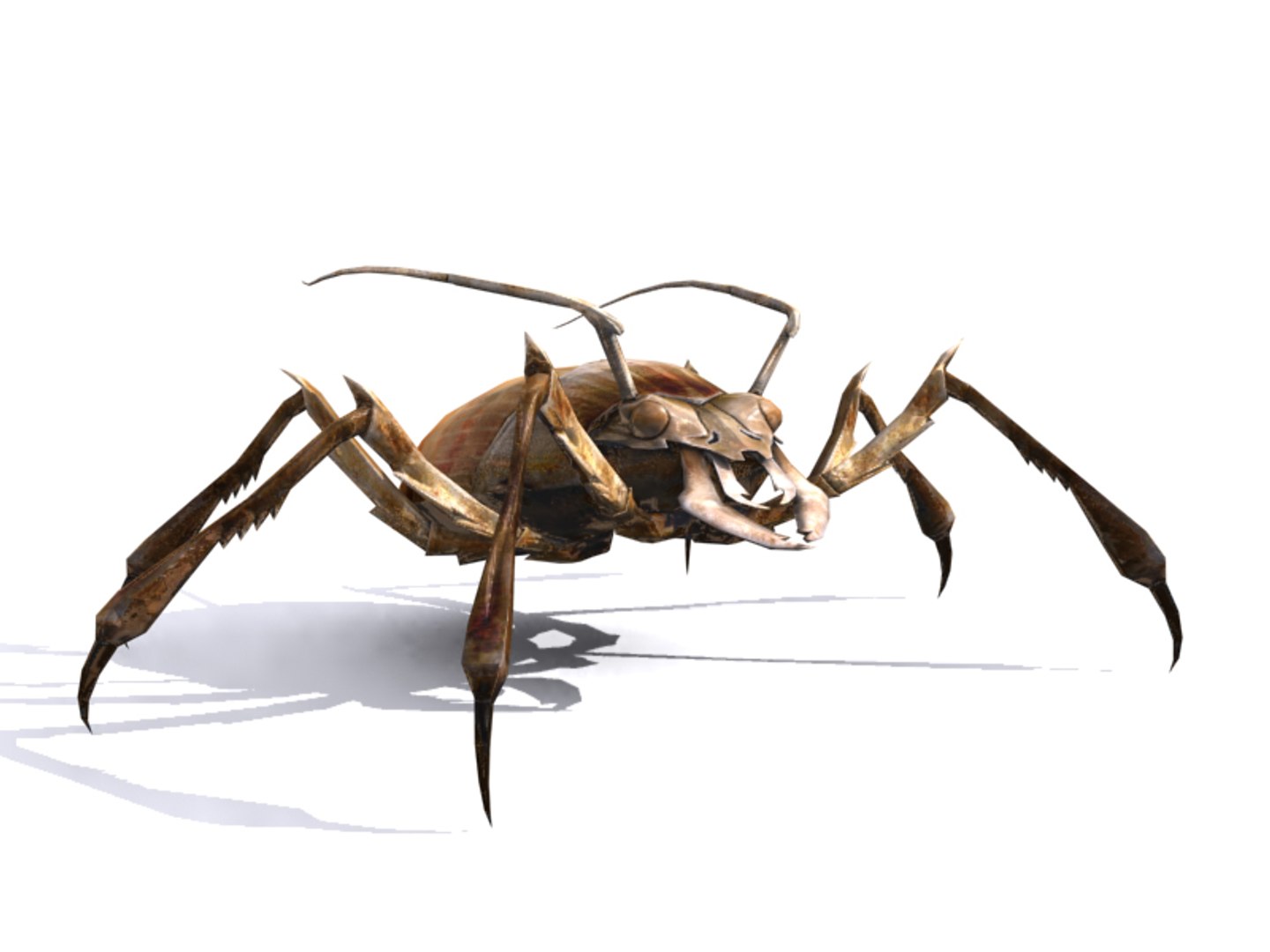 3d Bug Character Model