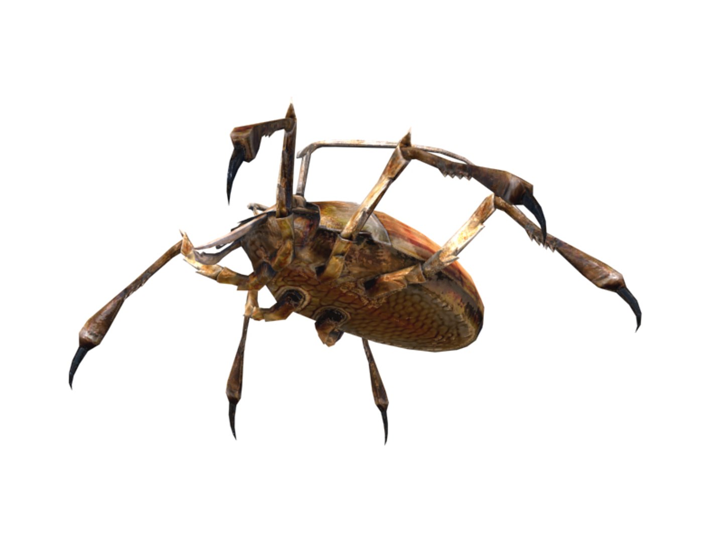 3d Bug Character Model