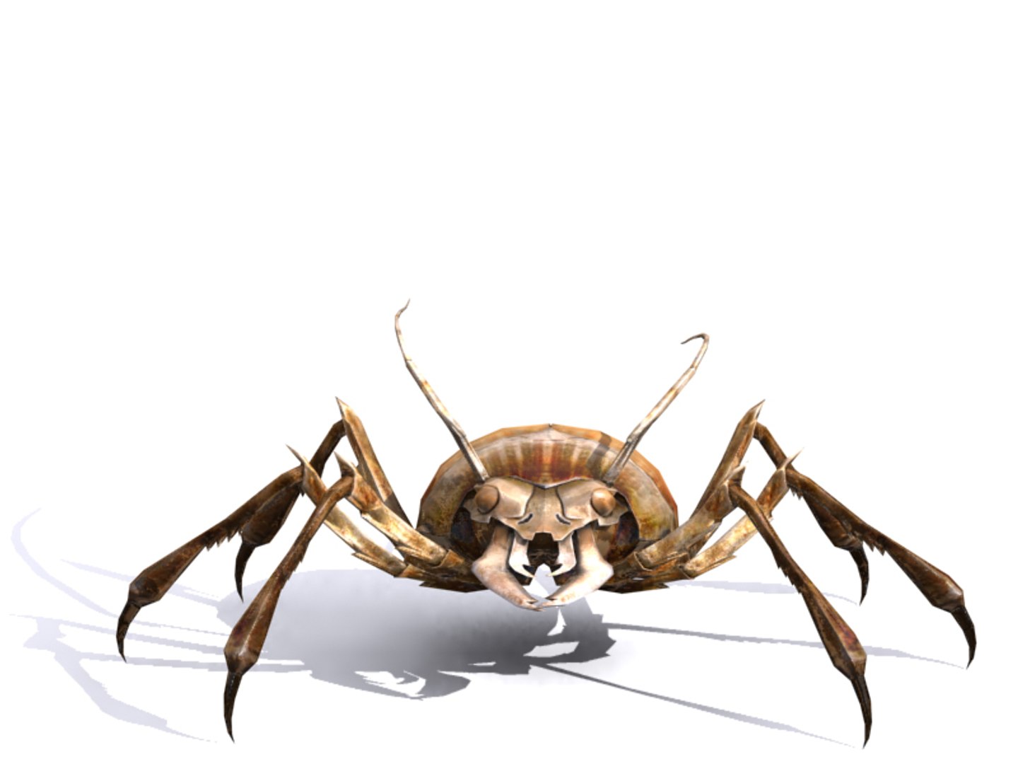 3d Bug Character Model