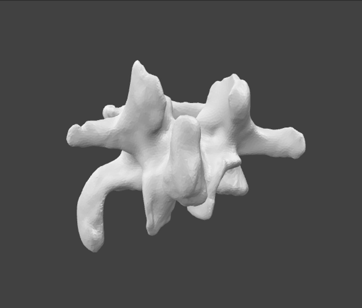 3d Model L2 Lumbar Vertebra Human Spine