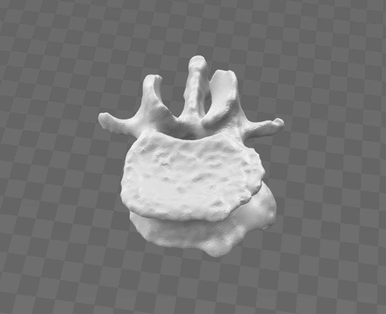 3d Model L2 Lumbar Vertebra Human Spine