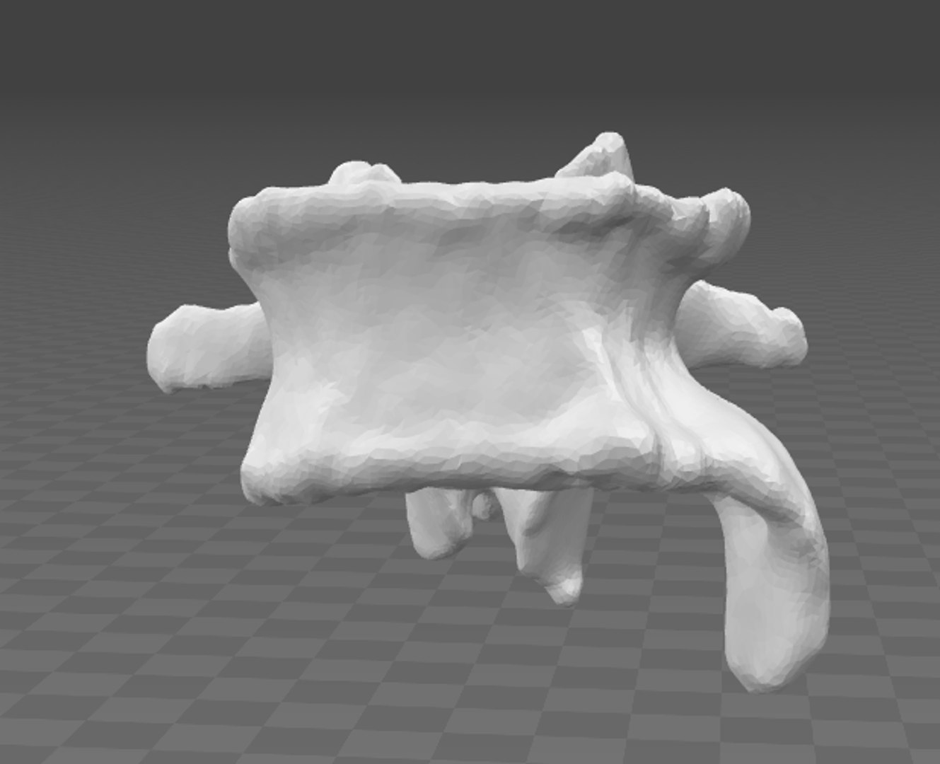 3d Model L2 Lumbar Vertebra Human Spine