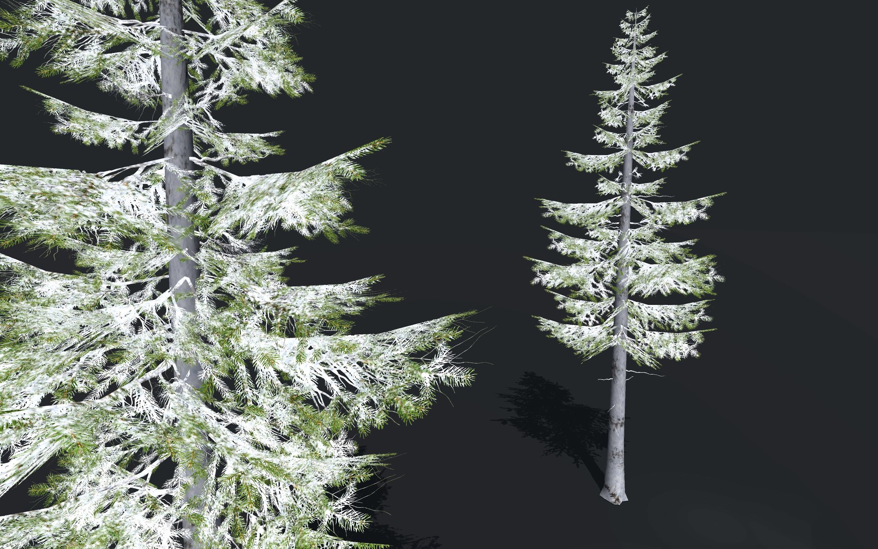 Snow Winter Trees Spruce Model - TurboSquid 1513624