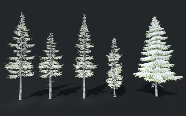 3D model realistic fir tree - TurboSquid 1517357