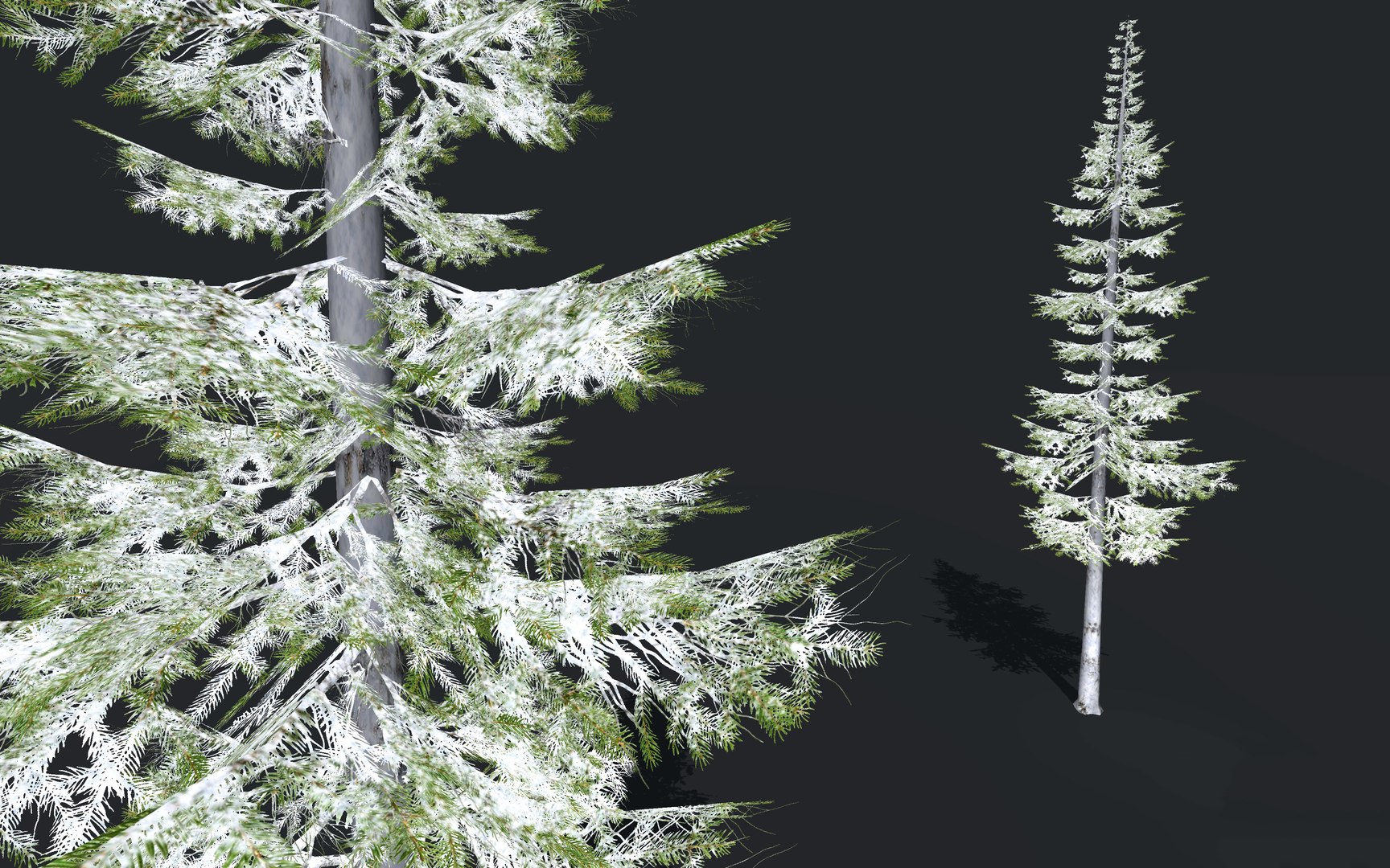 Snow Winter Trees Spruce Model - TurboSquid 1513624