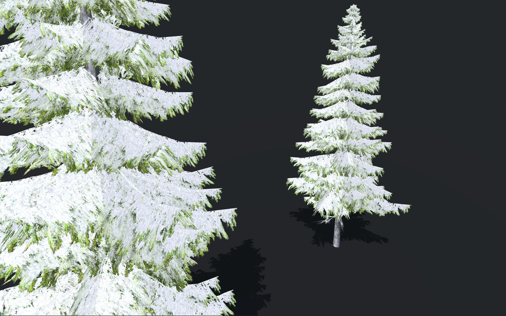 Snow Winter Trees Spruce Model - TurboSquid 1513624