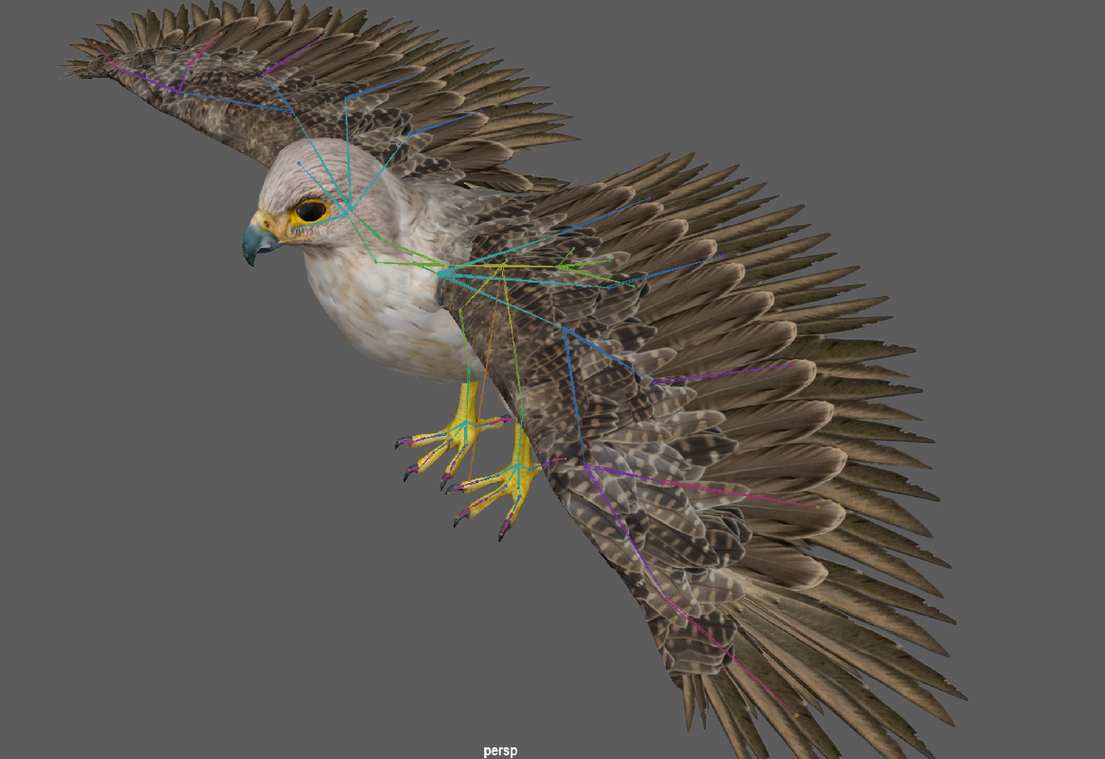 3D Model Hawk Rig - TurboSquid 1985304