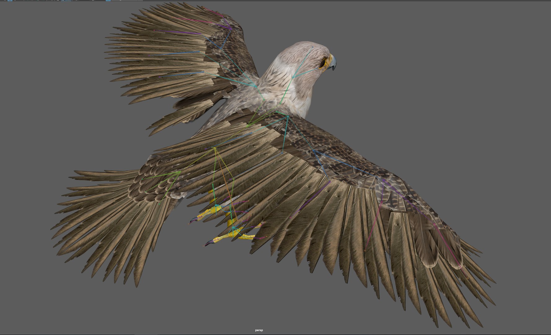 3D Model Hawk Rig - TurboSquid 1985304