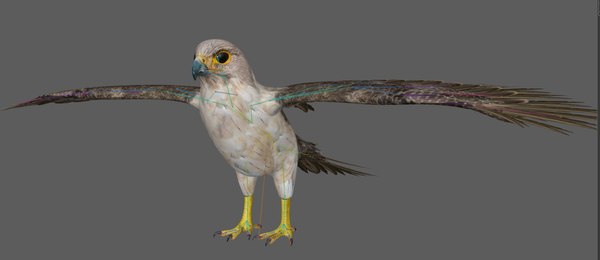 3D model Hawk Rig - TurboSquid 1985304