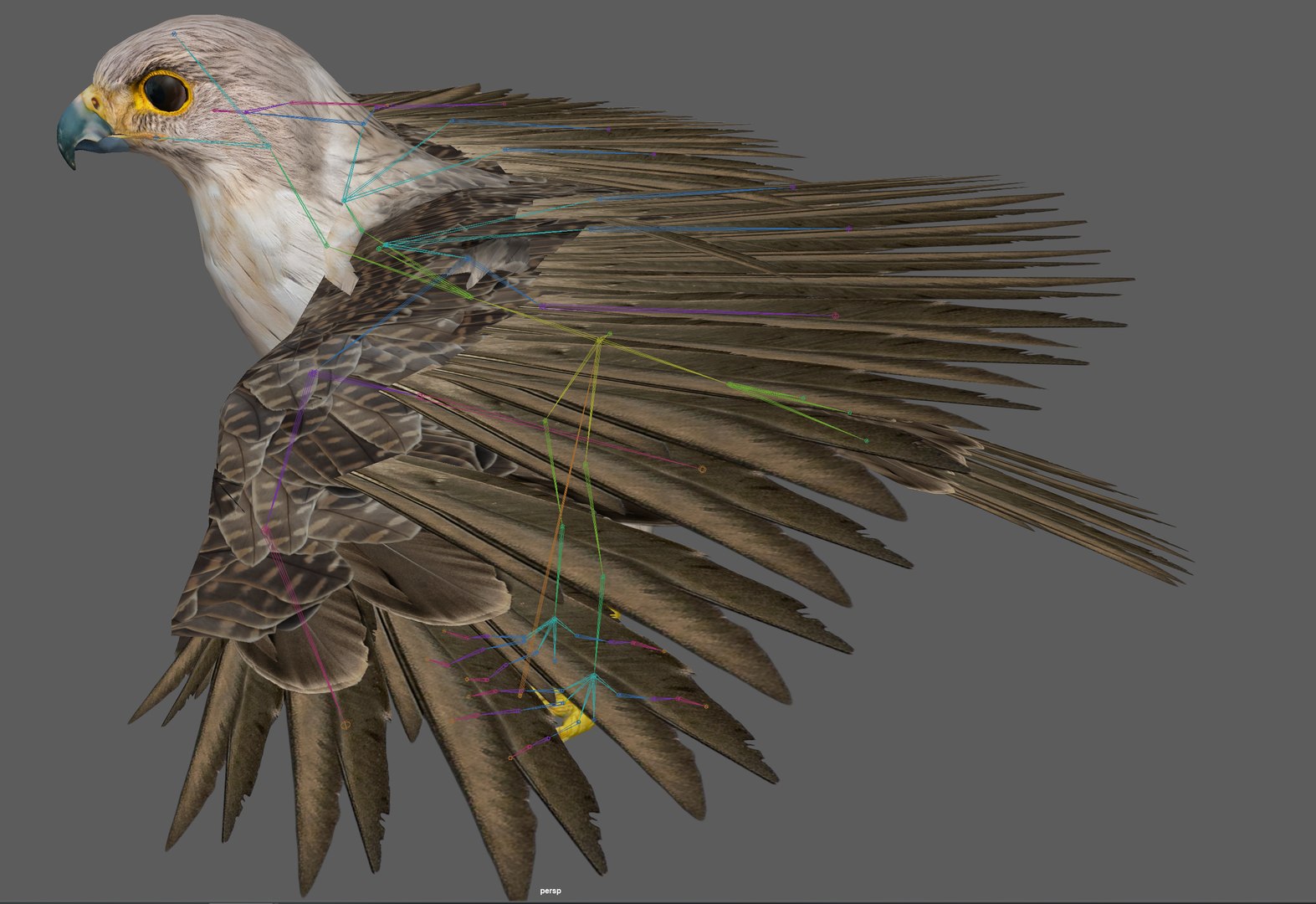 3D Model Hawk Rig - TurboSquid 1985304