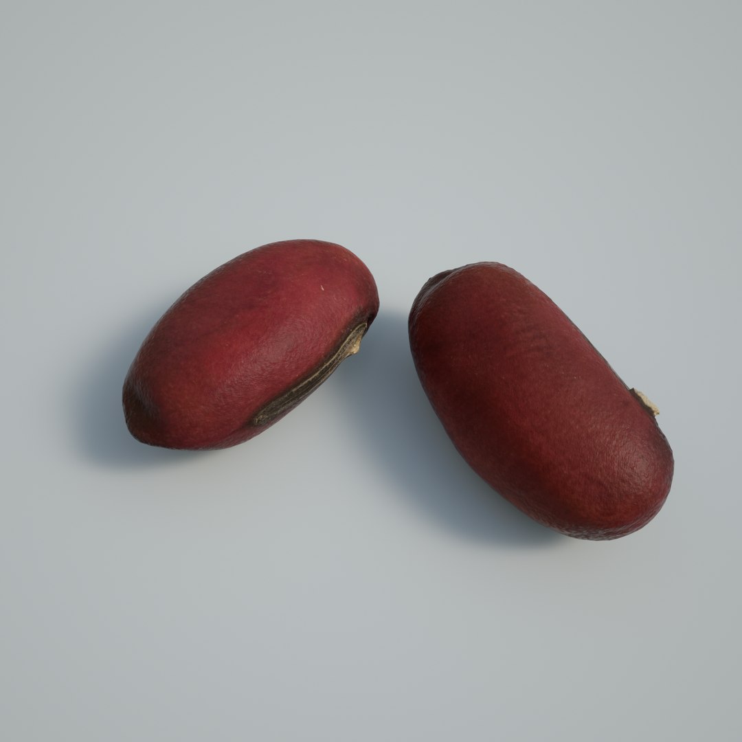 SCAN-Traditional Chinese Medicine-Sword Jackbean Seed 3D Model ...