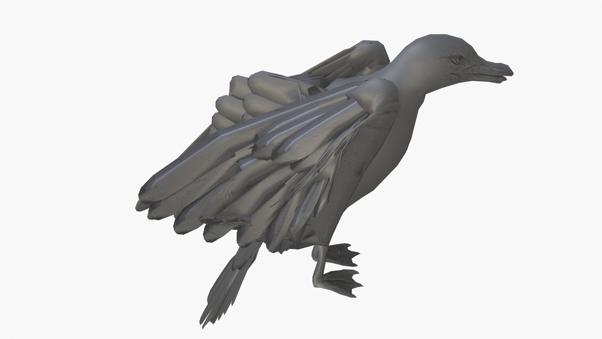 Seagull Bird With Rig And Animation 3D Model - TurboSquid 2035481