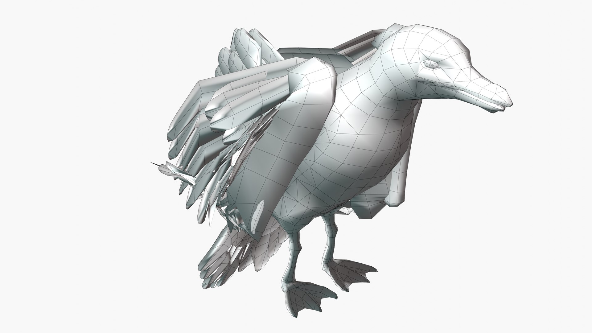 Seagull Bird With Rig And Animation 3D Model - TurboSquid 2035481