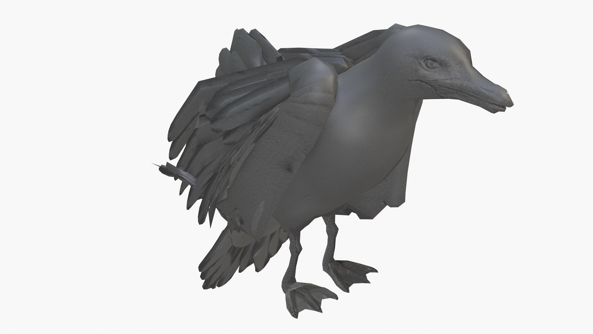 Seagull Bird With Rig And Animation 3D Model - TurboSquid 2035481