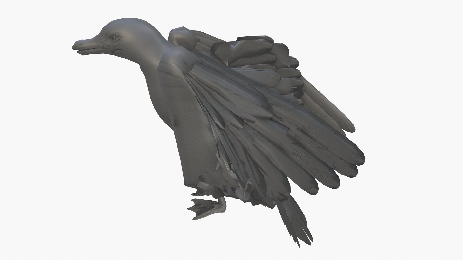 Seagull Bird With Rig And Animation 3D Model - TurboSquid 2035481