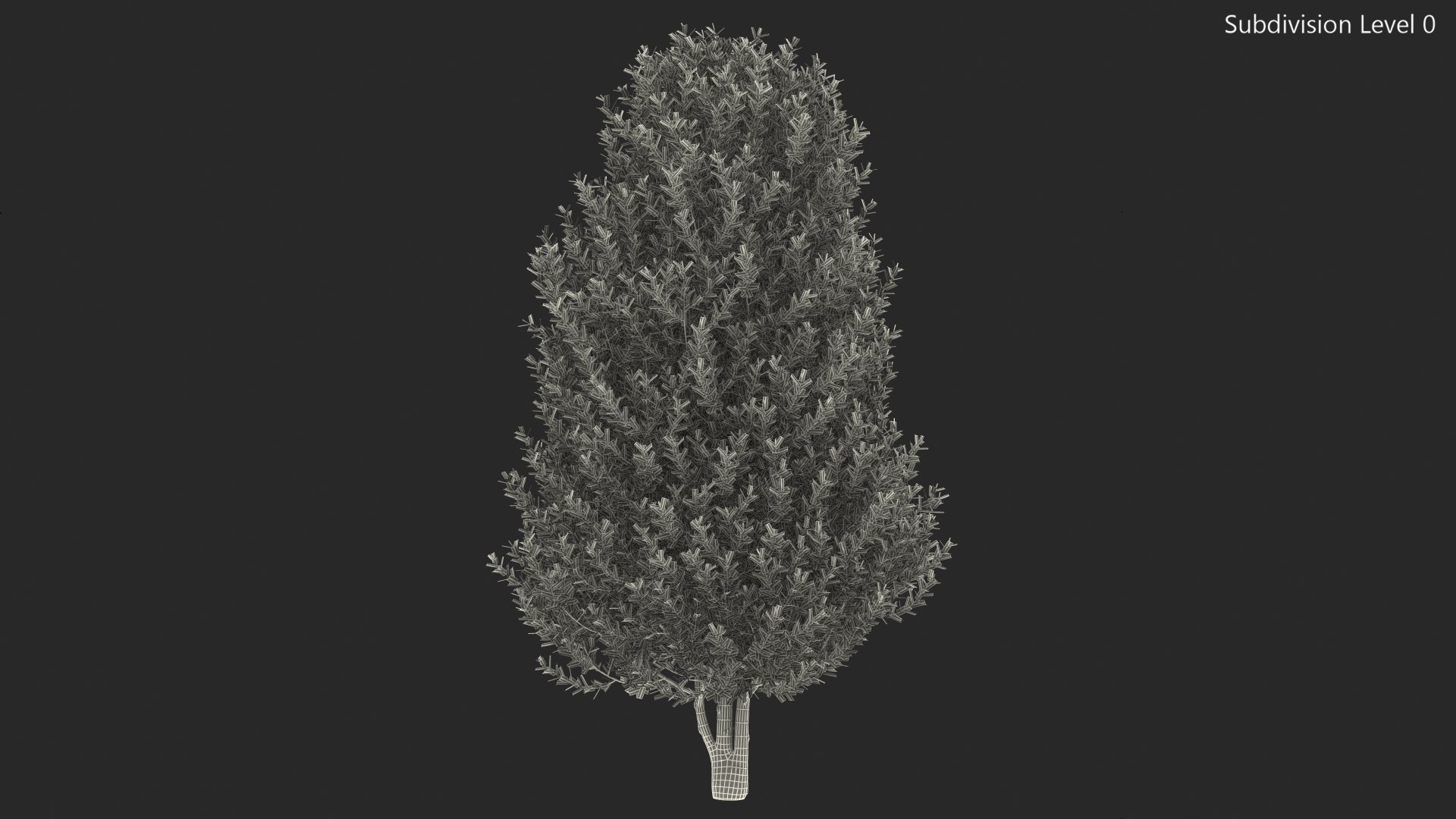 Sweet bay laurel tree 3D model - TurboSquid 1687458