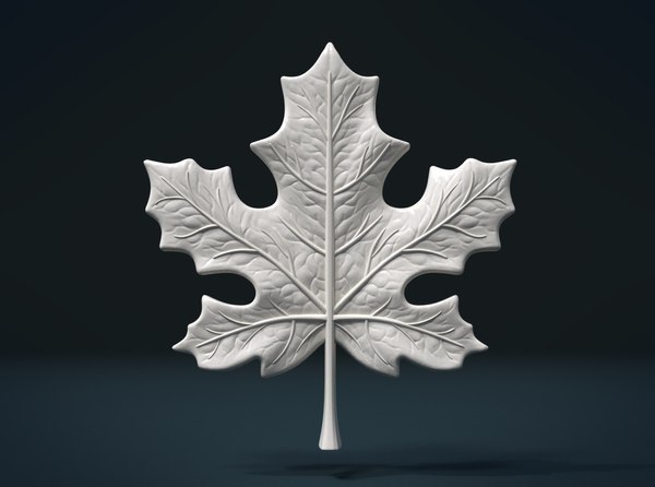 Maple Leaves 3D Models for Download | TurboSquid