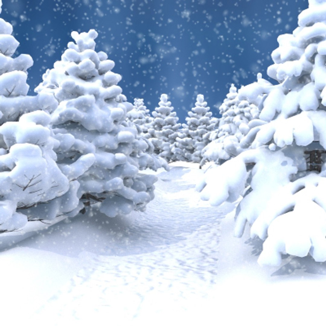 3d Winter Conifer Forest Snow Model