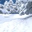 3d Winter Conifer Forest Snow Model