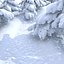 3d Winter Conifer Forest Snow Model