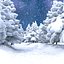 3d Winter Conifer Forest Snow Model