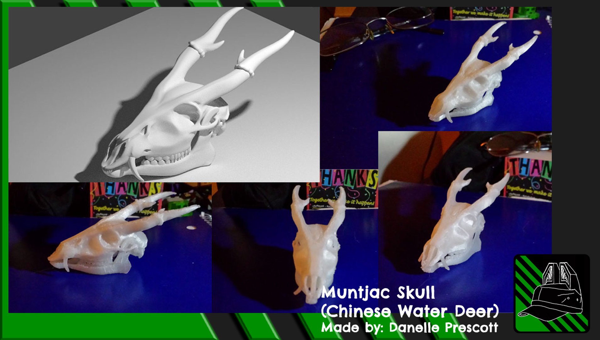Muntjac Skull Chinese 3D - TurboSquid 1255016