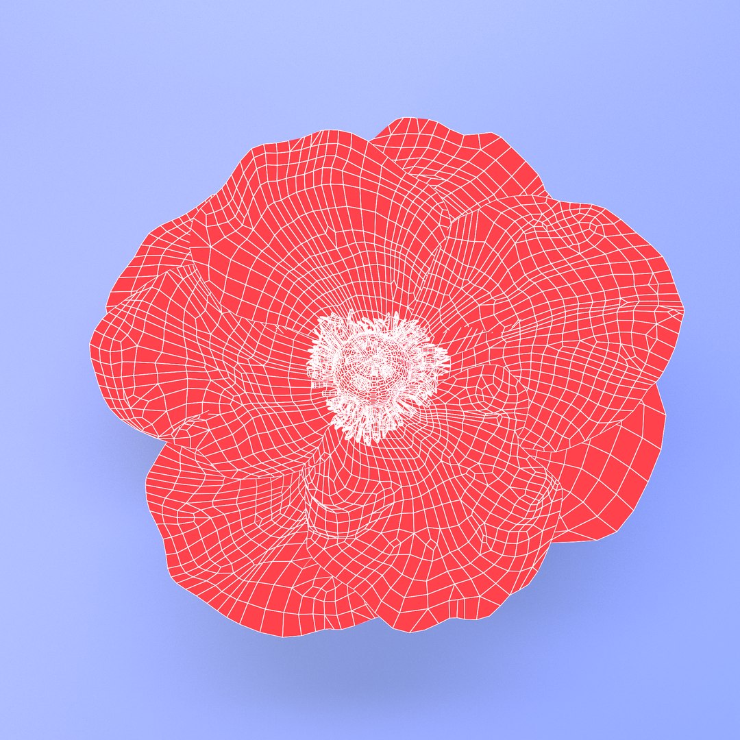 Poppy plants flowers 3D model - TurboSquid 1681592