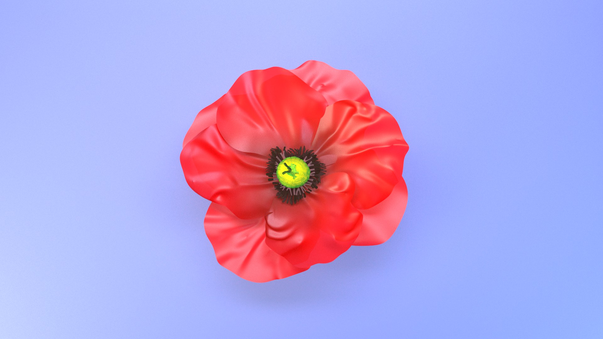 Poppy plants flowers 3D model - TurboSquid 1681592