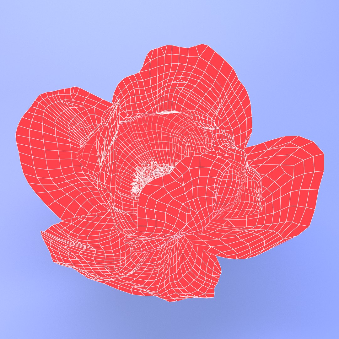 Poppy plants flowers 3D model - TurboSquid 1681592