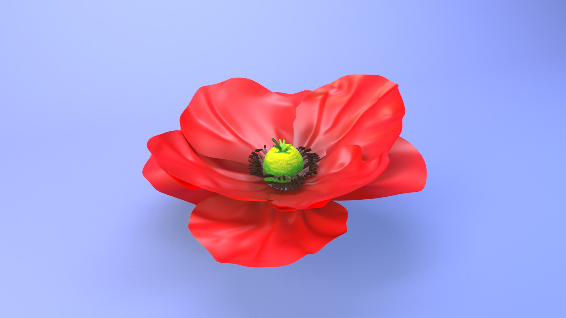 Poppy plants flowers 3D model - TurboSquid 1681592