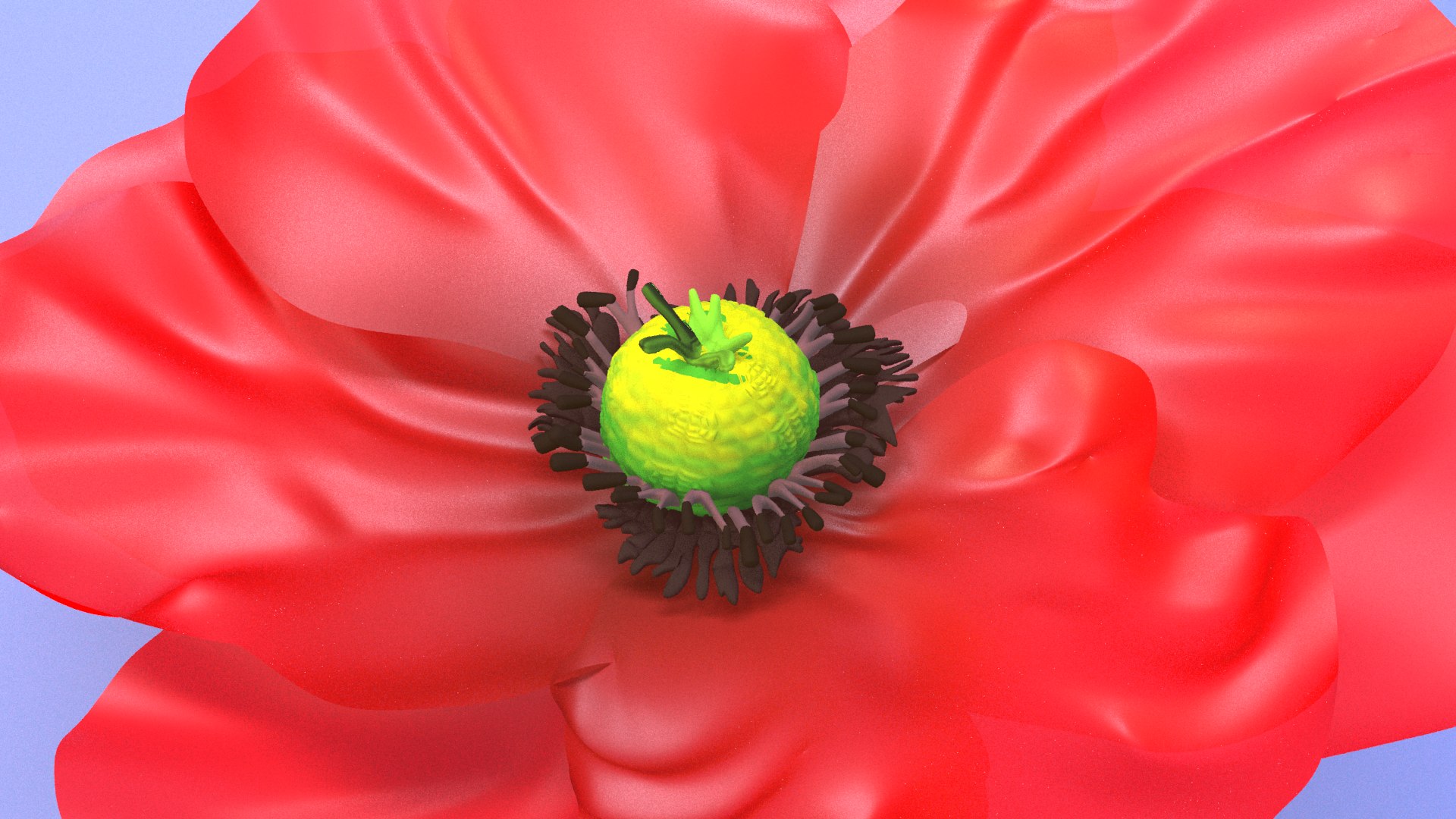 Poppy plants flowers 3D model - TurboSquid 1681592