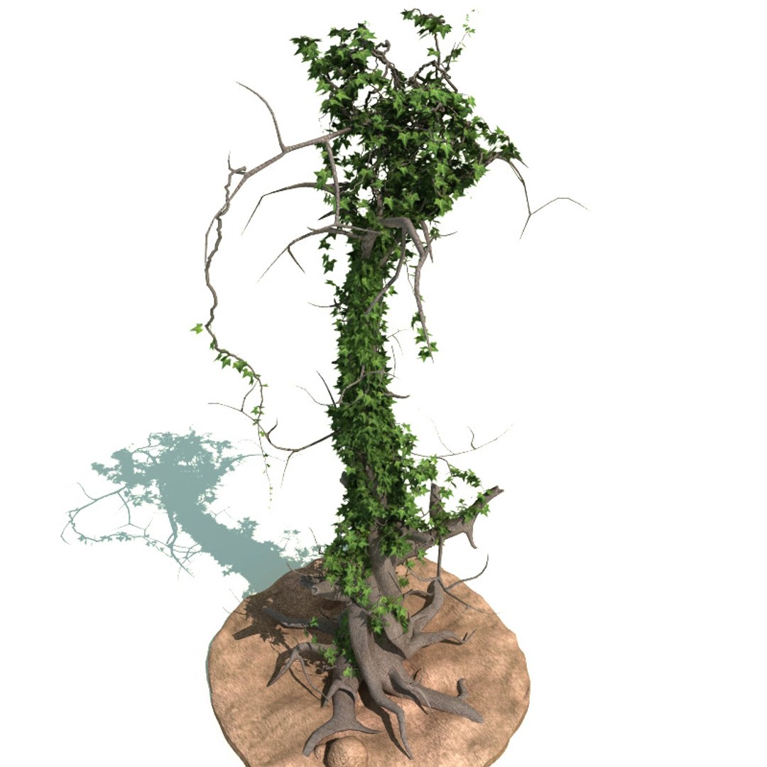 Old Tree Ivy V2 3d Model