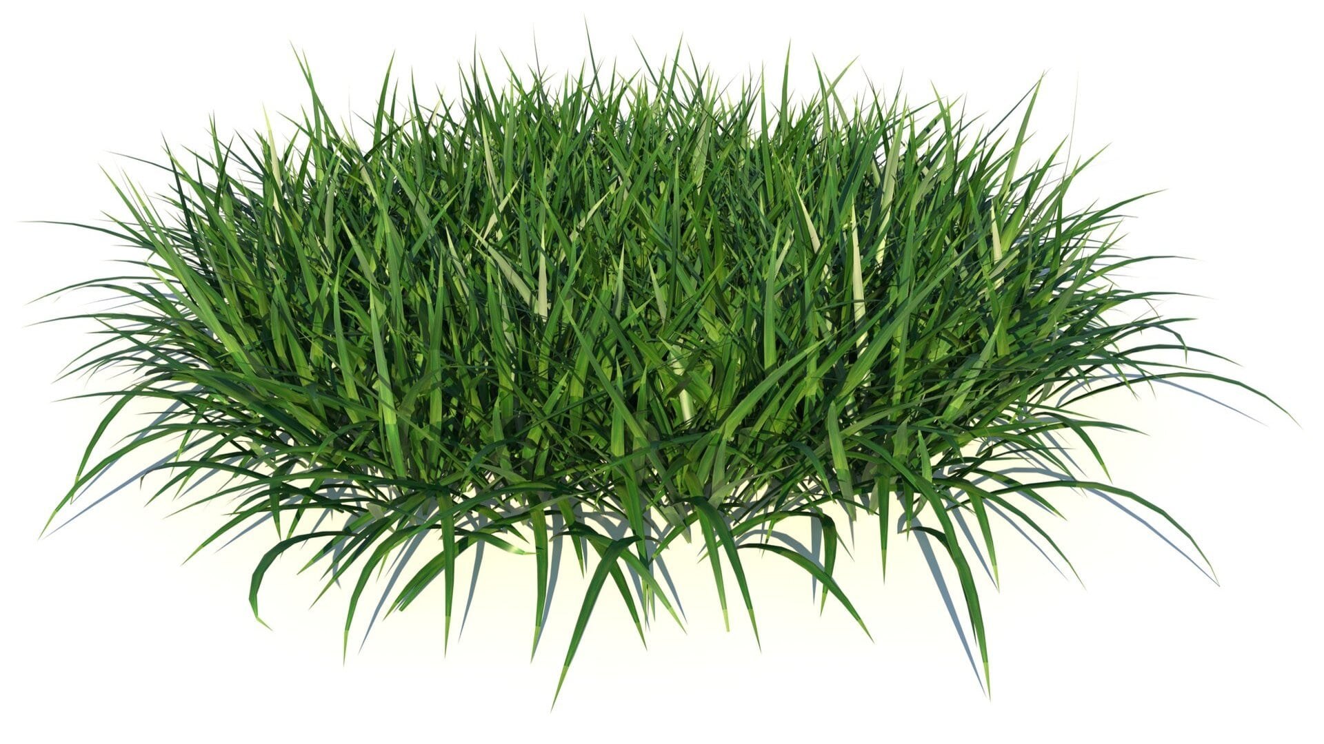 3D Round Realistic Grass - TurboSquid 2208270