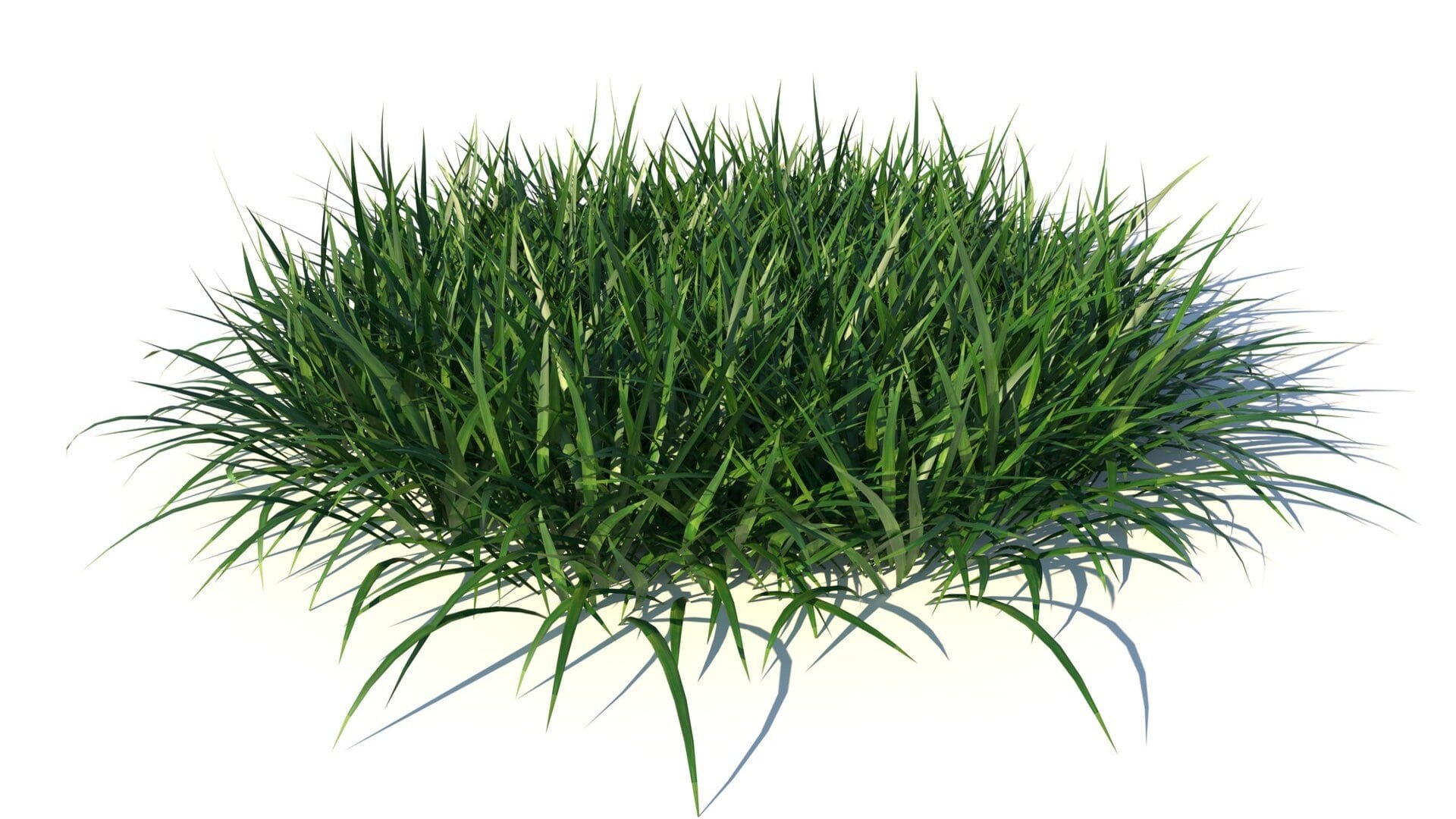 3D Round Realistic Grass - TurboSquid 2208270