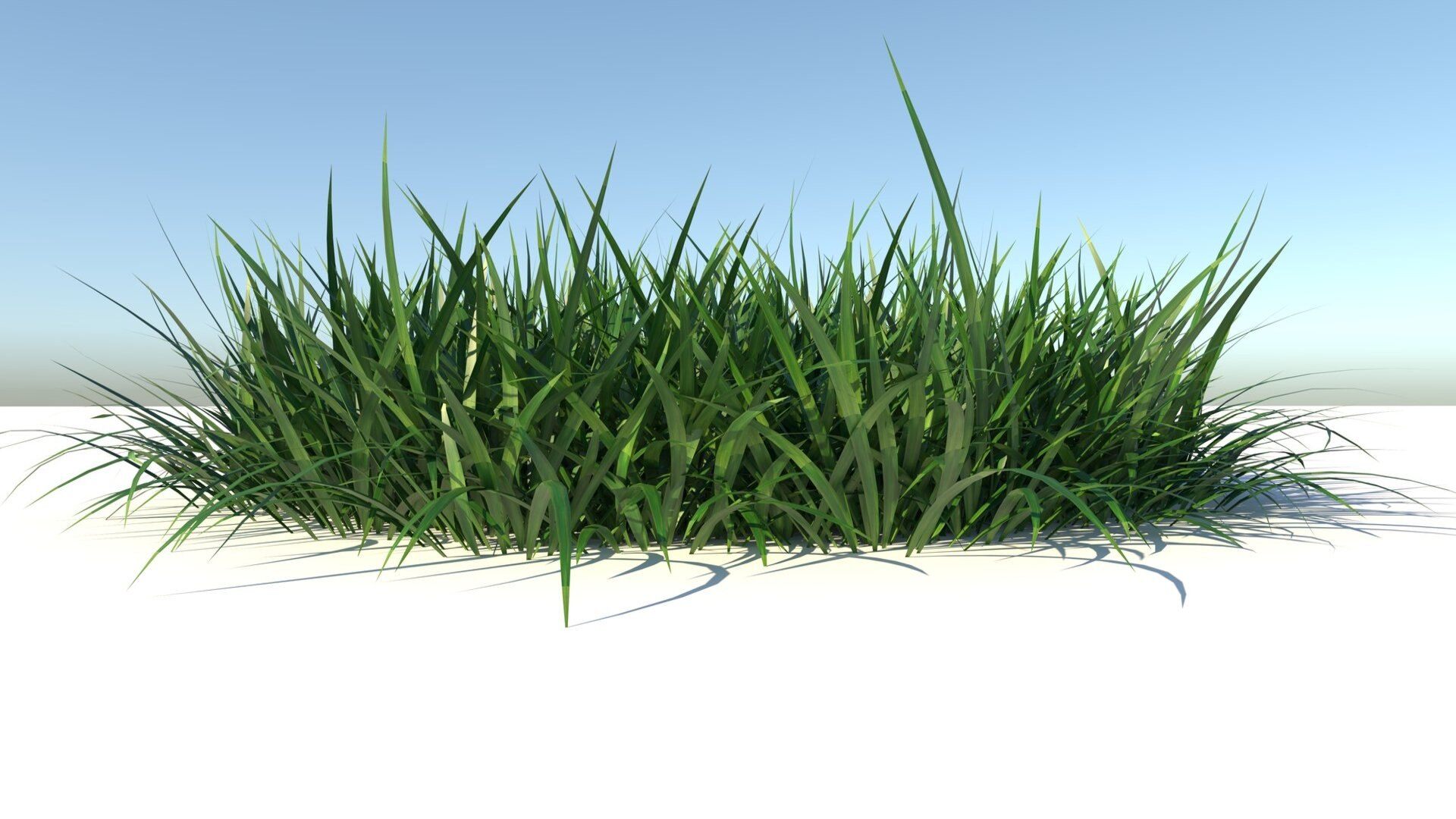 3D Round Realistic Grass - TurboSquid 2208270
