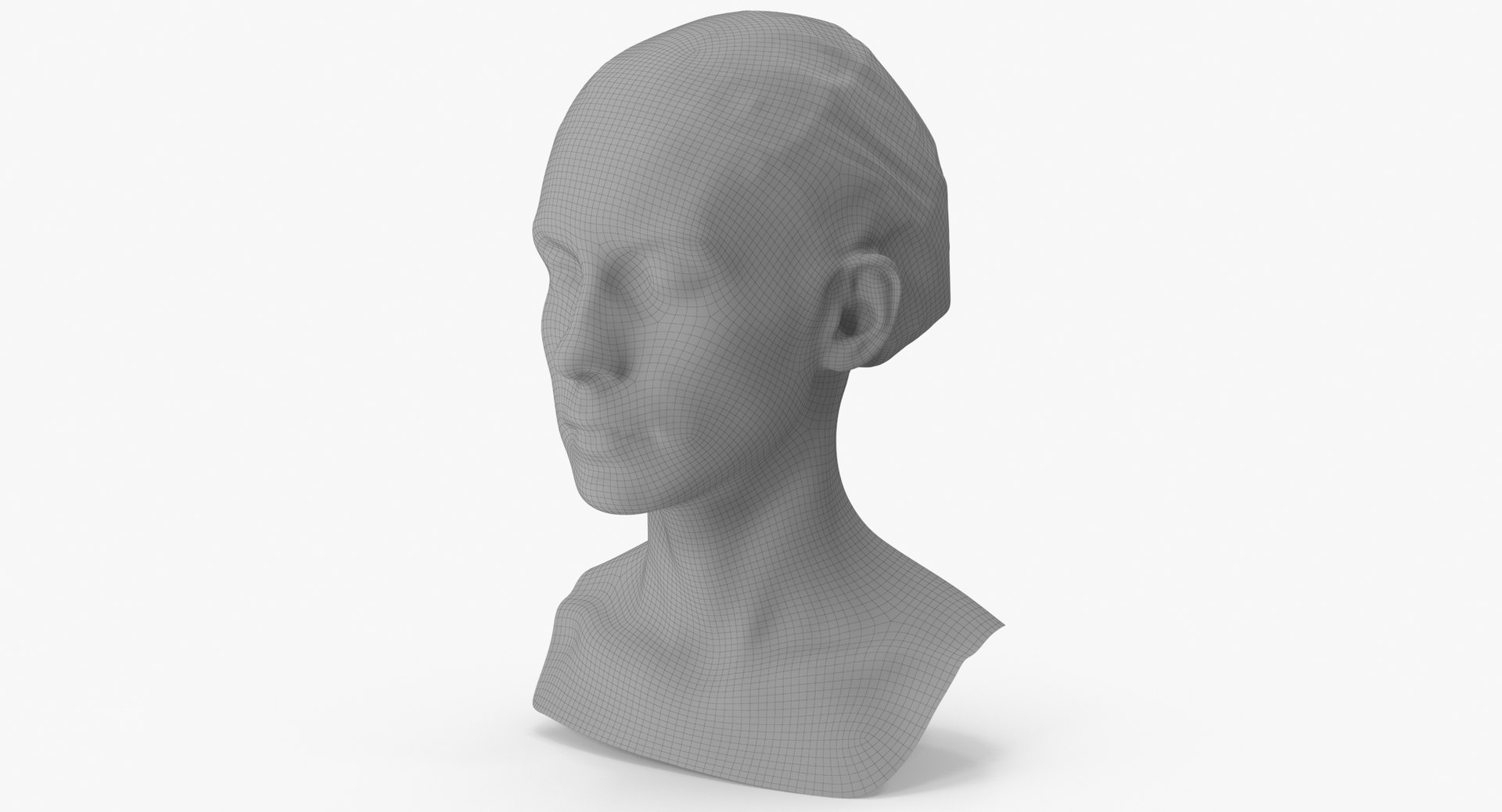 Athena Human Head Wink 3D Model - TurboSquid 1674769