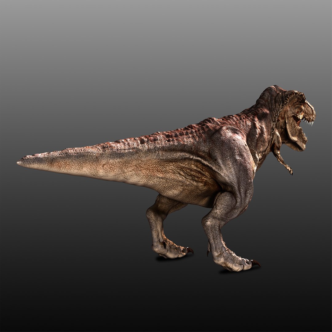 Tyrannosaurus Rex 3d Model