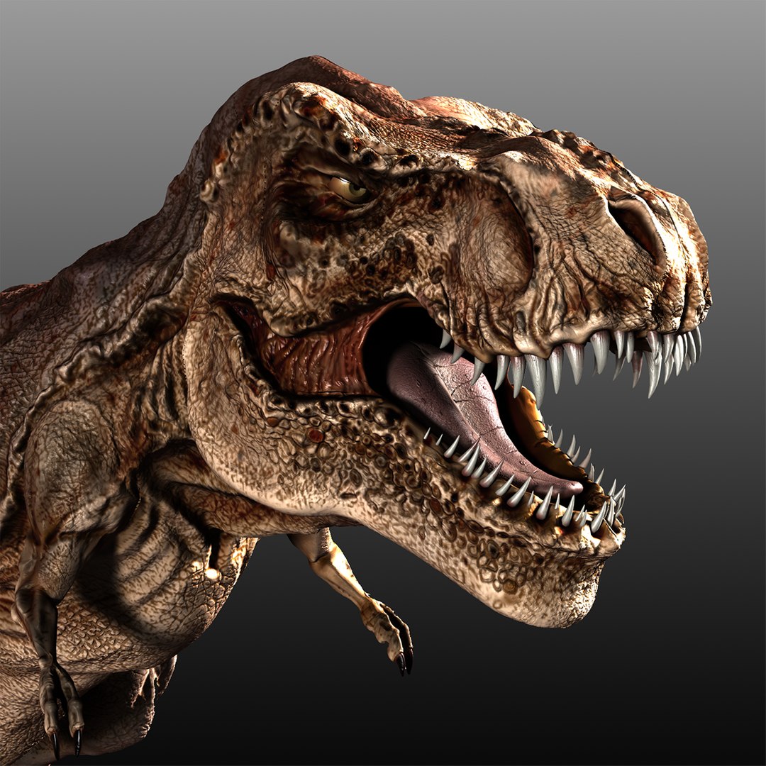 Tyrannosaurus Rex 3d Model